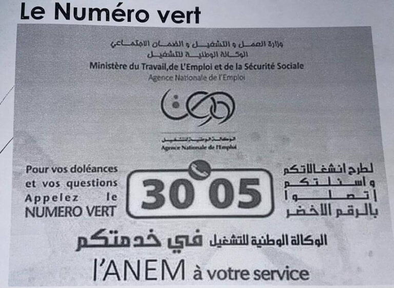 La digitalisation de la fonction RH de la SAA Algérie