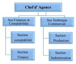 Présentation de la société nationale d'assurance SAA en Algérie